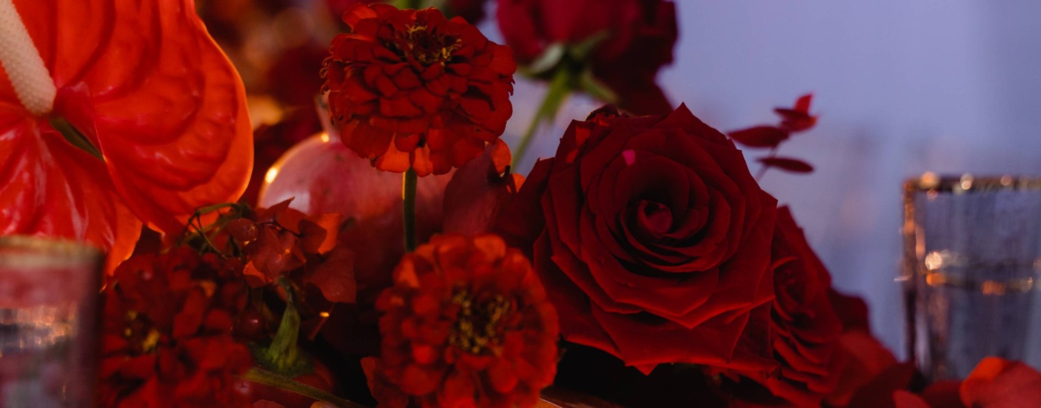 Организатор  Филатова Анастасия