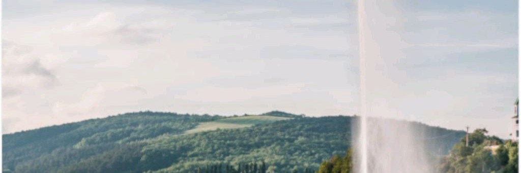 Надежда Городбина