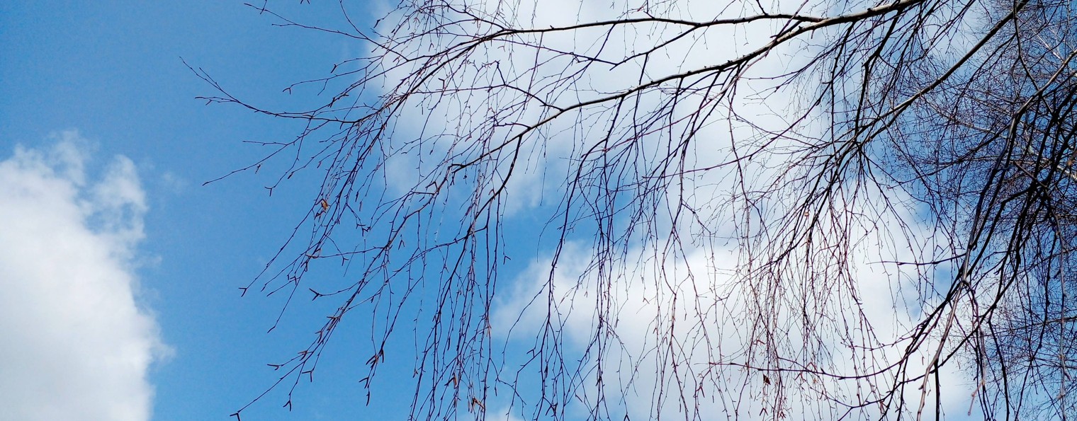 Вяжу и снимаю природу