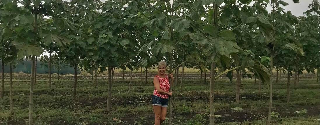 питомник Ключ Гремячий