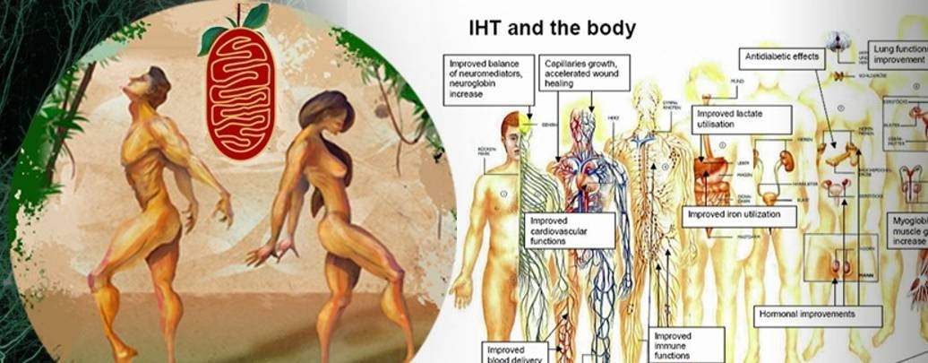 Аркадий Прокопов