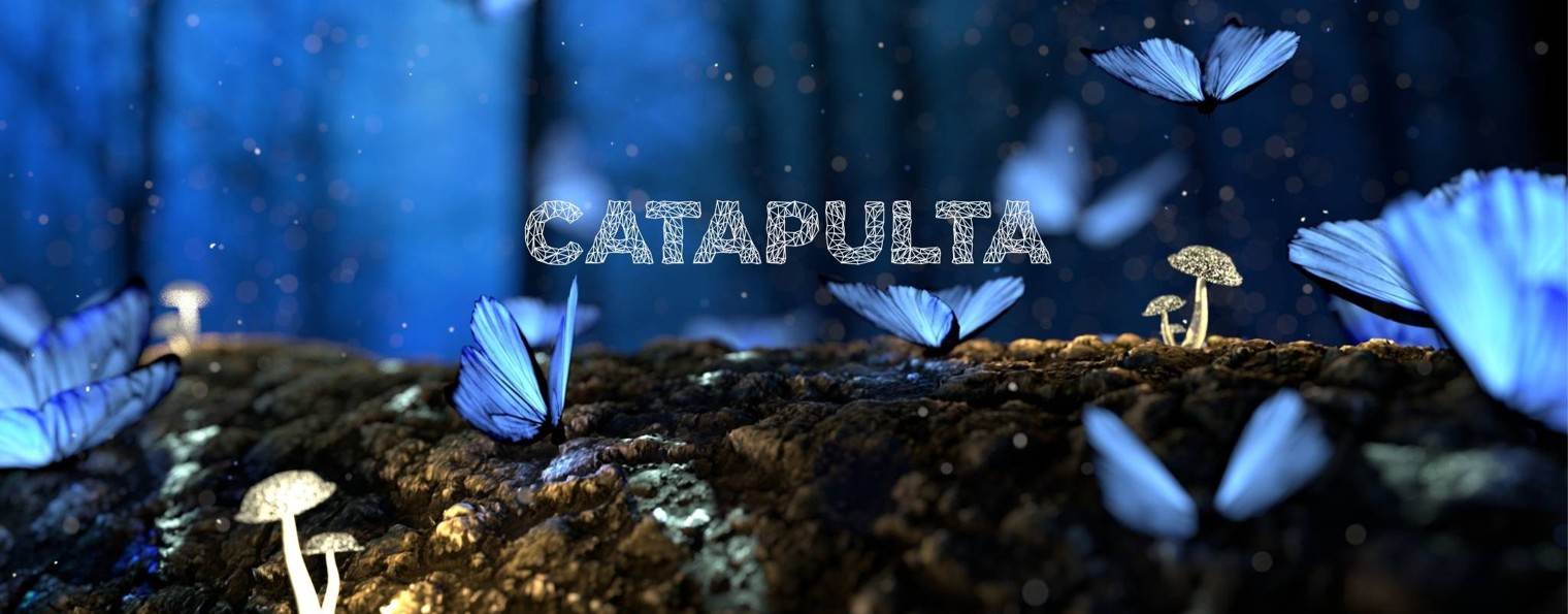 Catapulta