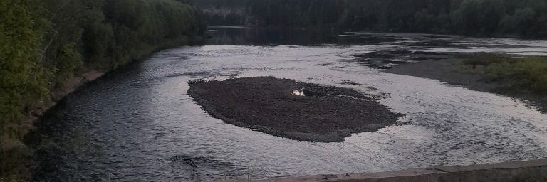 ПОРЫБАЧИМ???