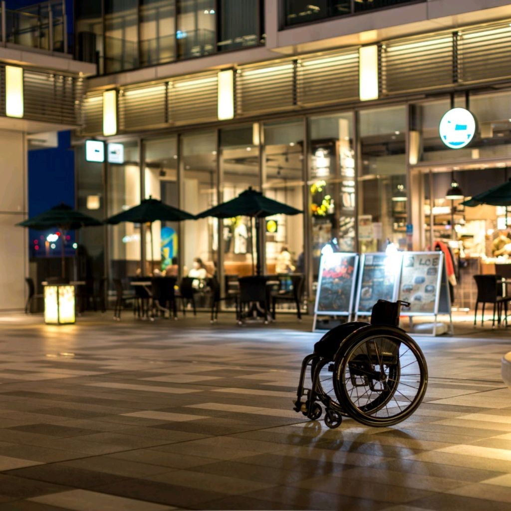 Инвалидная коляска pro.