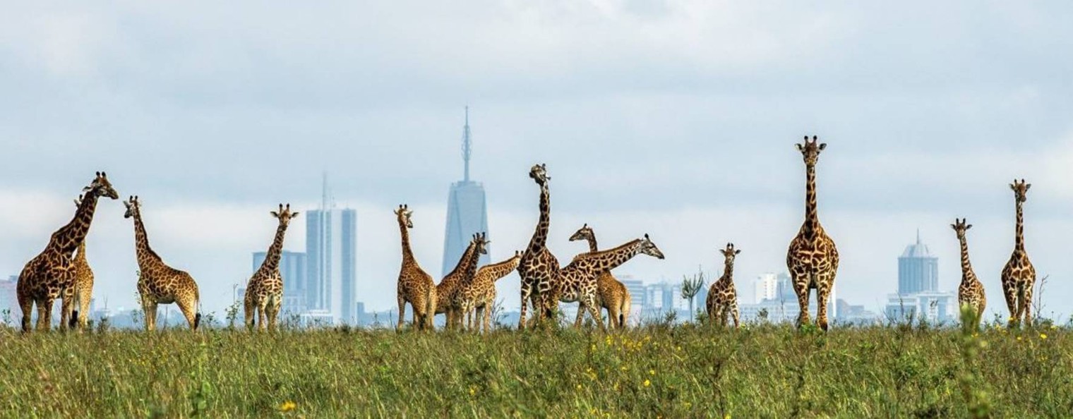 Изучаем Суахили Tusome_Swa