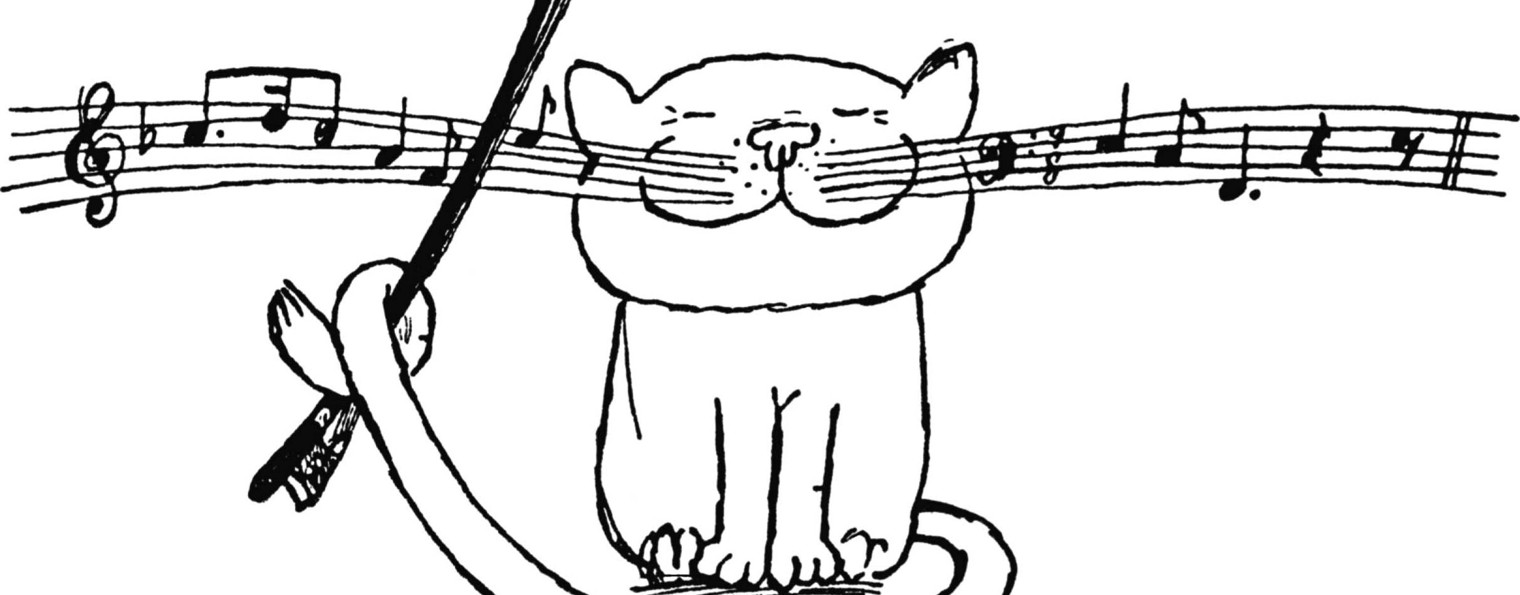 Анисимова Анастасия