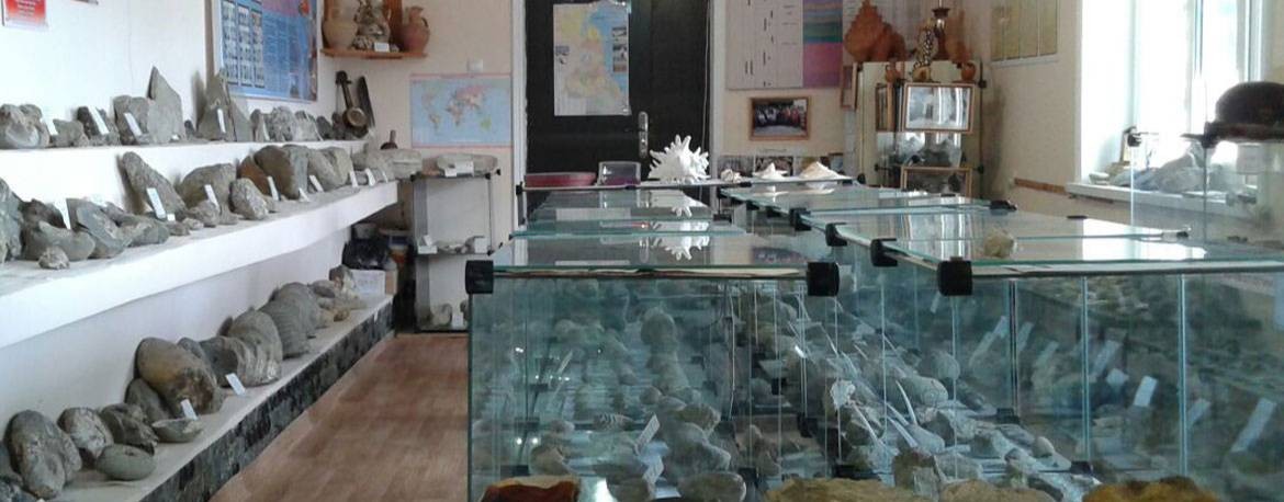 Музей палеонтологии, археологии и краеведения