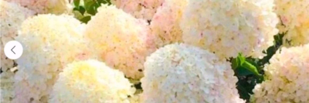 Загородный дом