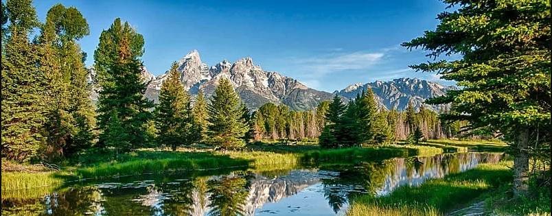 Галина Антонова