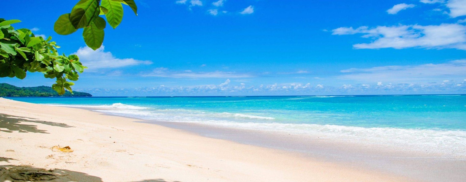 Кулинарный Хит