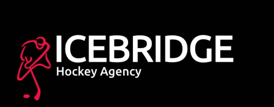Ice Bridge Agency