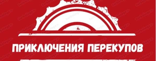 Приключения ПЕРЕКУПОВ