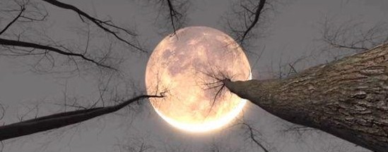 Волшебный мир магии