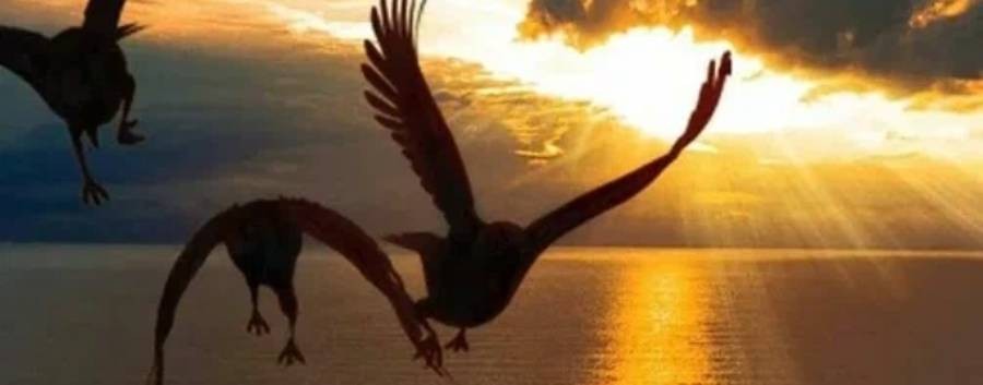 Стук Сердца