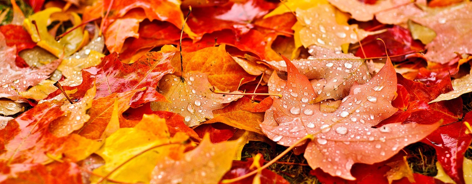 Восприятие и осознание