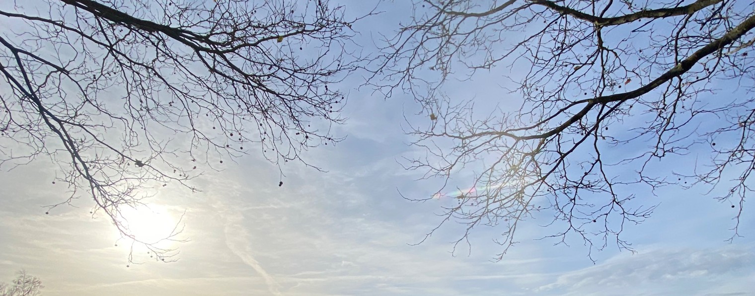 Антон Васильев