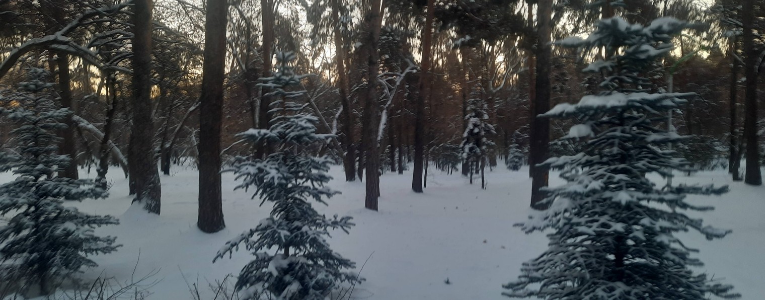 Недвижимость. До и после.