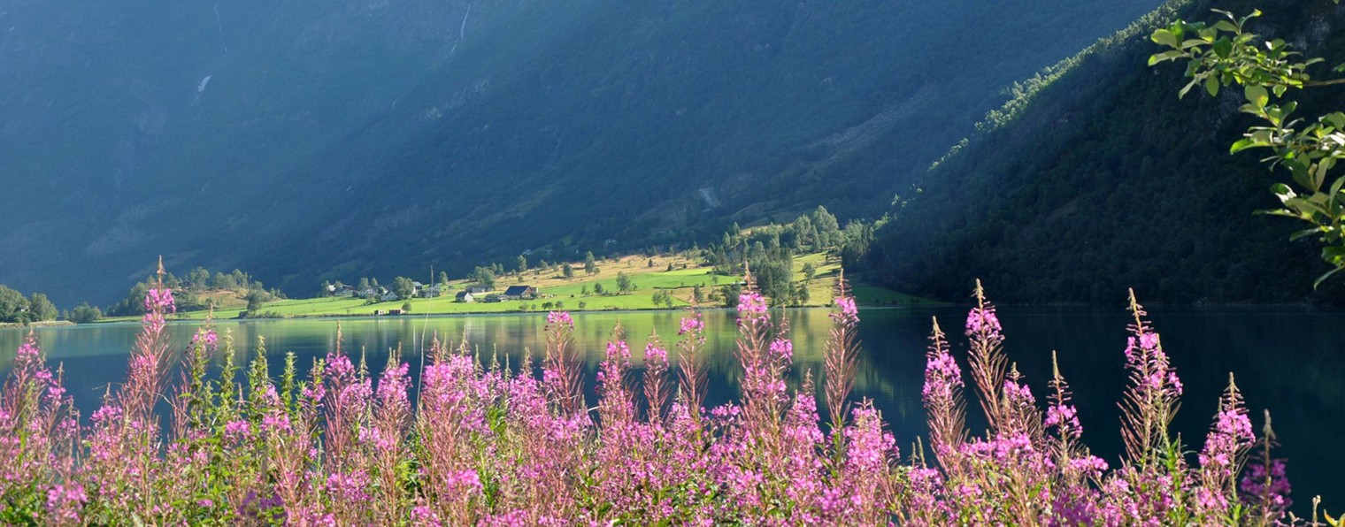 БОЛЬШОЕ ПРИКЛЮЧЕНИЕ