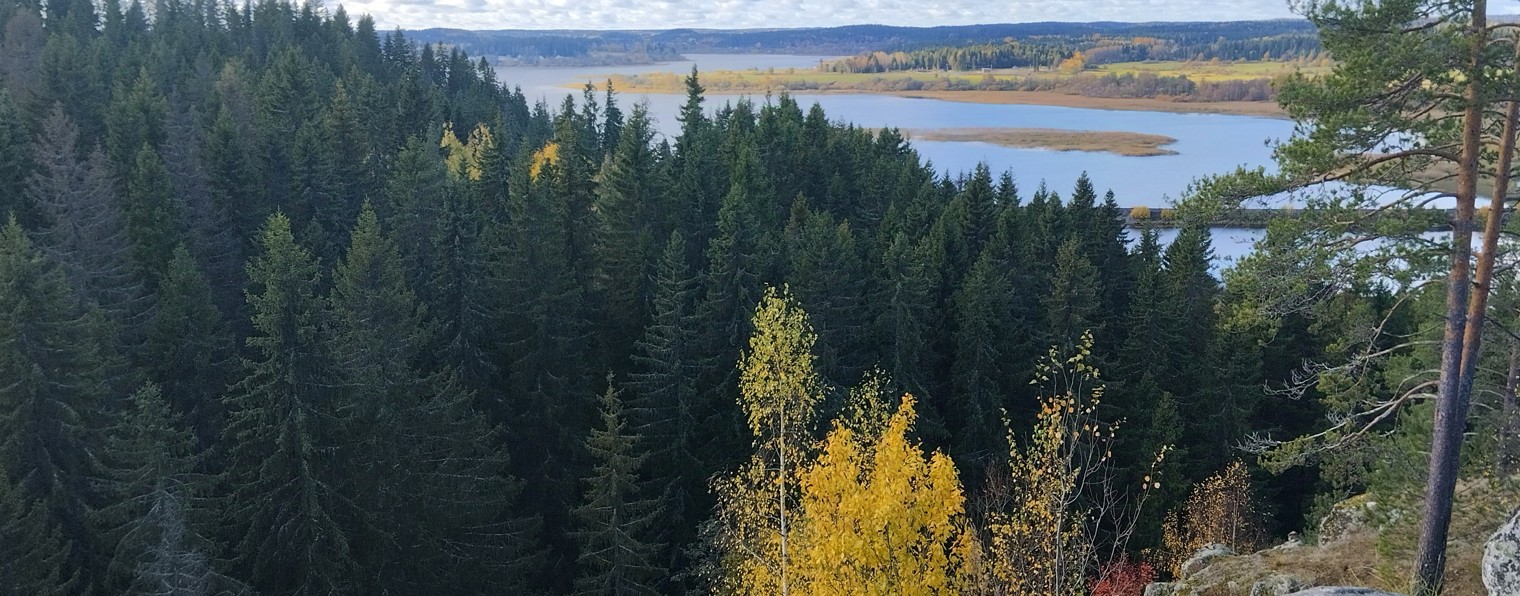 Душевный маршрут