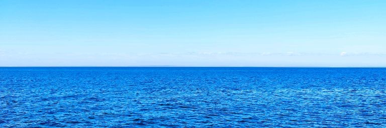 💎Чёрный Бриллиант - голуби Донбасса💎