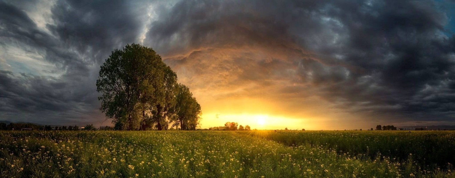 Aleksei Titov - GoroD