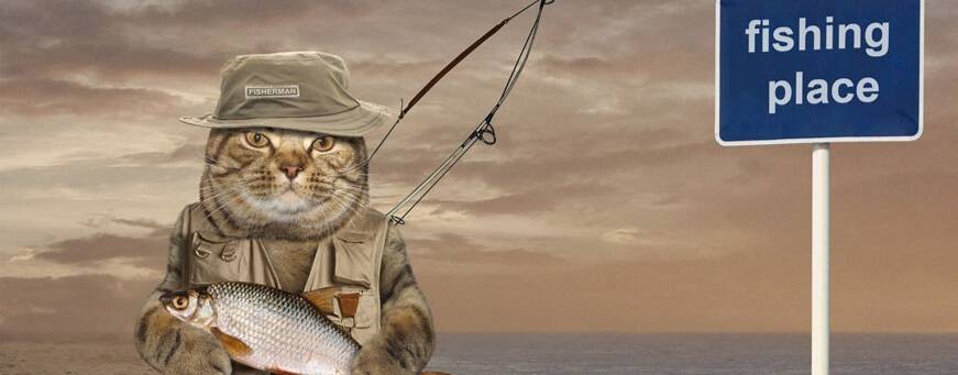 😒𝕱𝖎𝖘𝖍𝖎𝖓𝖌