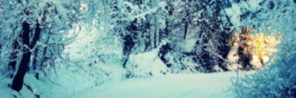 Бородинский 229