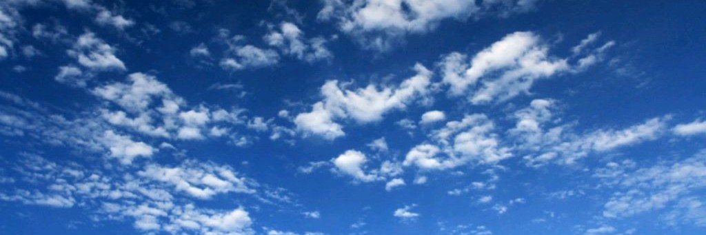 Мистр Картофель