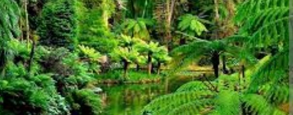 Хозяйственный пельмень.