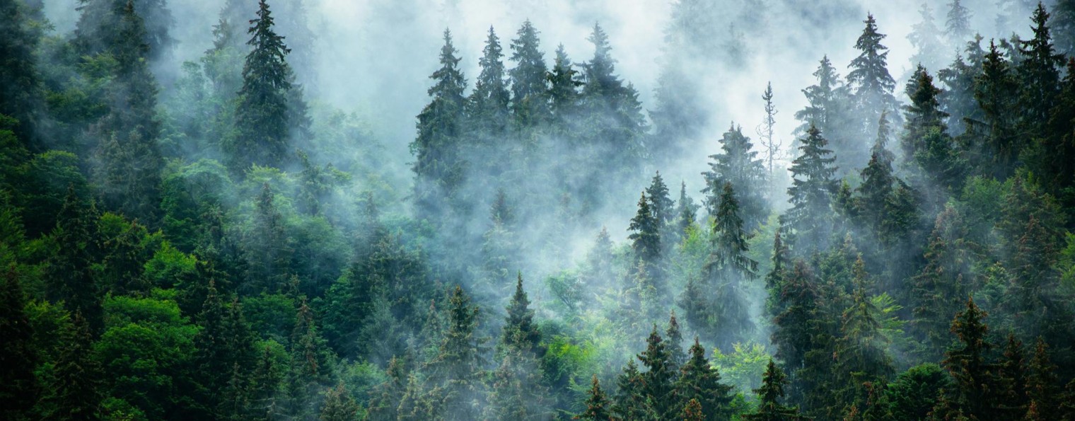 Обережье с Магдой