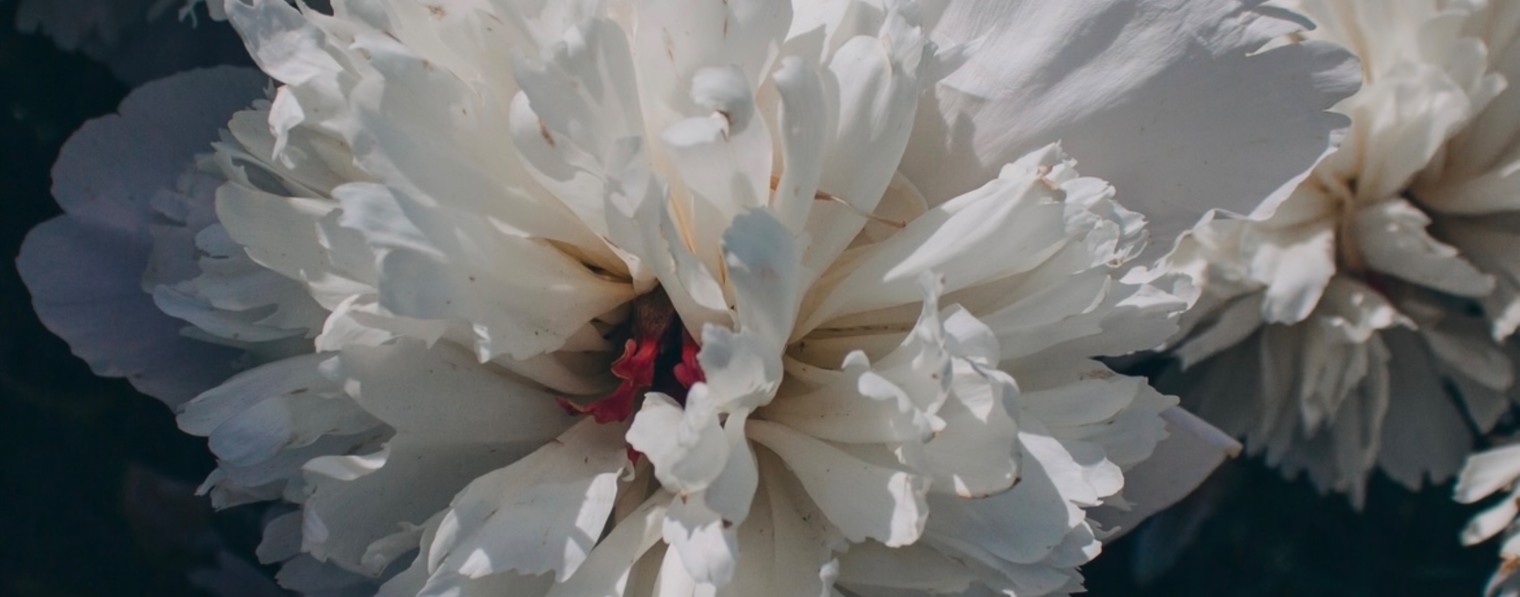 Марина Никитина