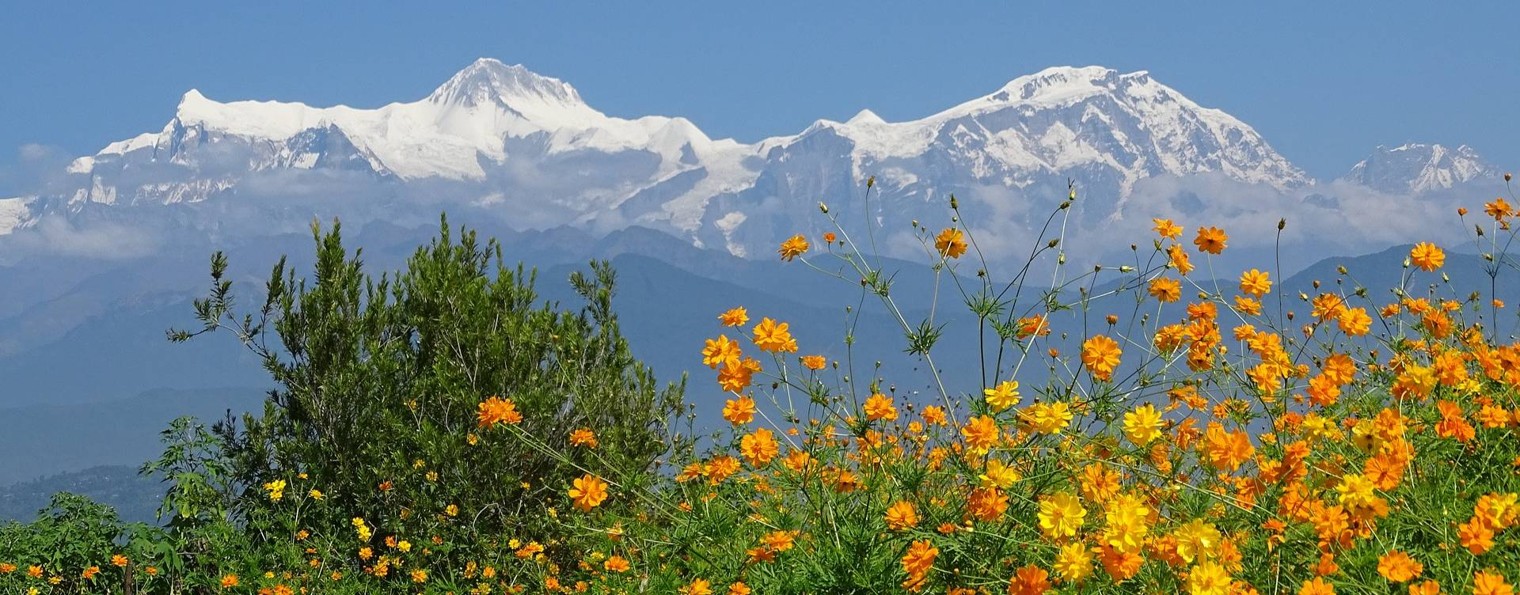 Авторские туры и Семейные экспедиции