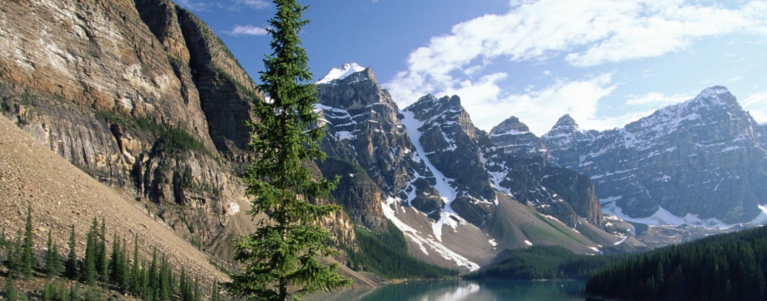 ULTRA HD VIDEO HOSTING