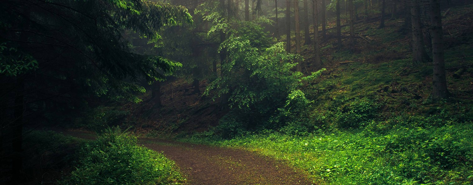 Нива: полный привод и приключения
