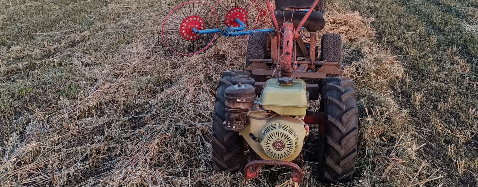 Выживание в селе