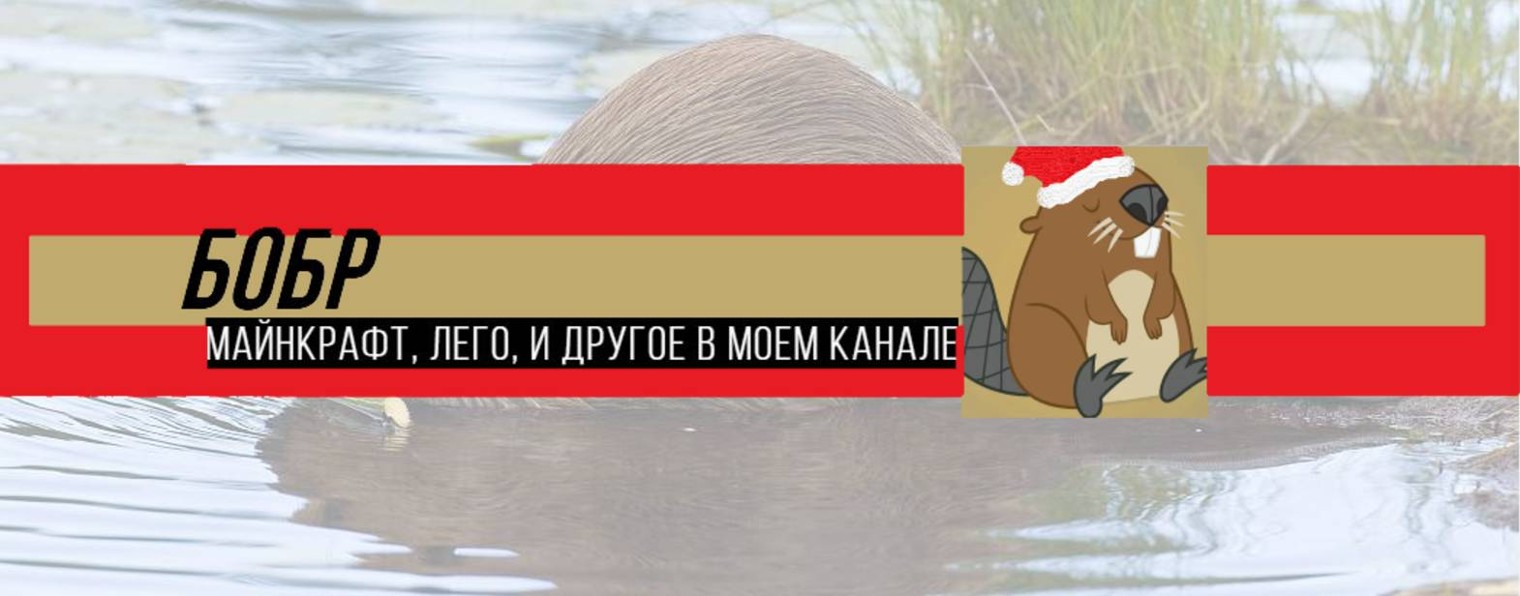 бобр