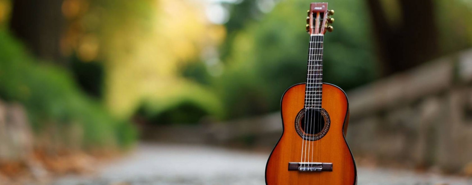 Gordeev Guitar School