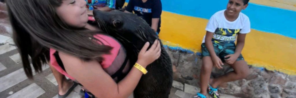 🦭виталина🦭