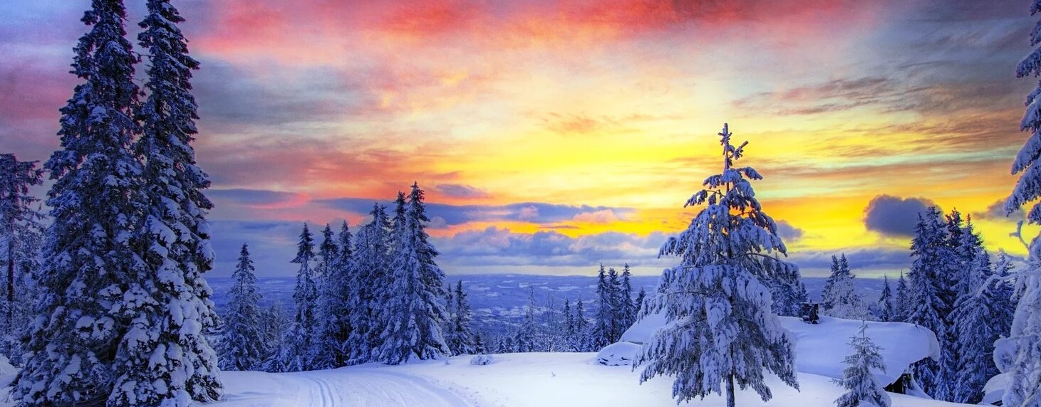 Жизнь в кадре