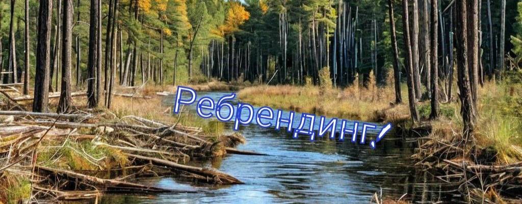 Щипаный бобёр