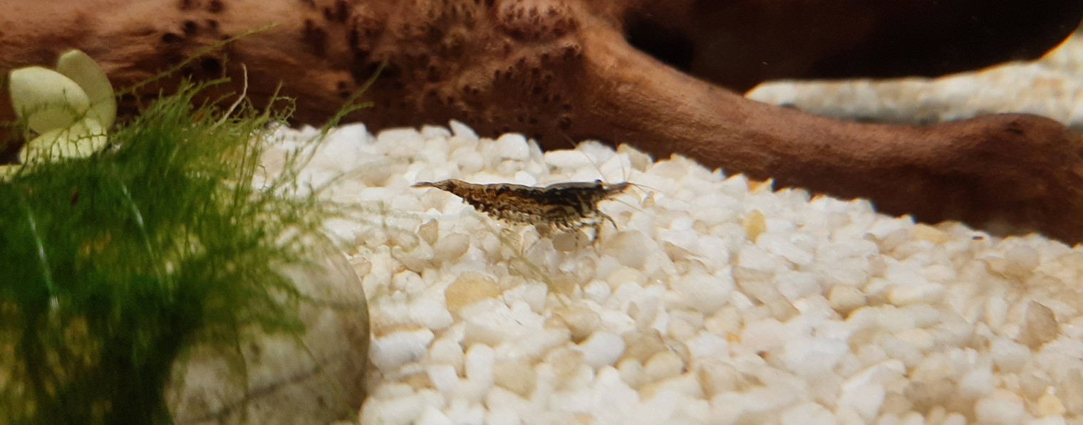 Жизнь в 15 литрах