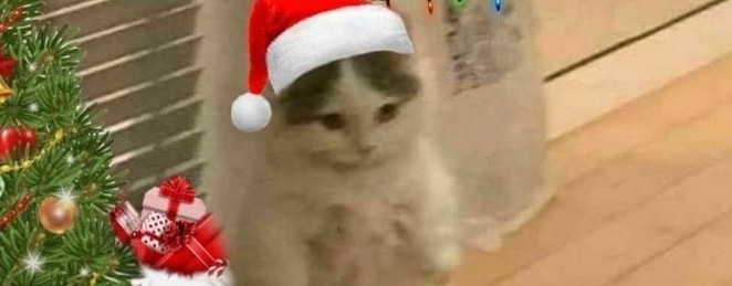 Евуся❤️❤️❤️