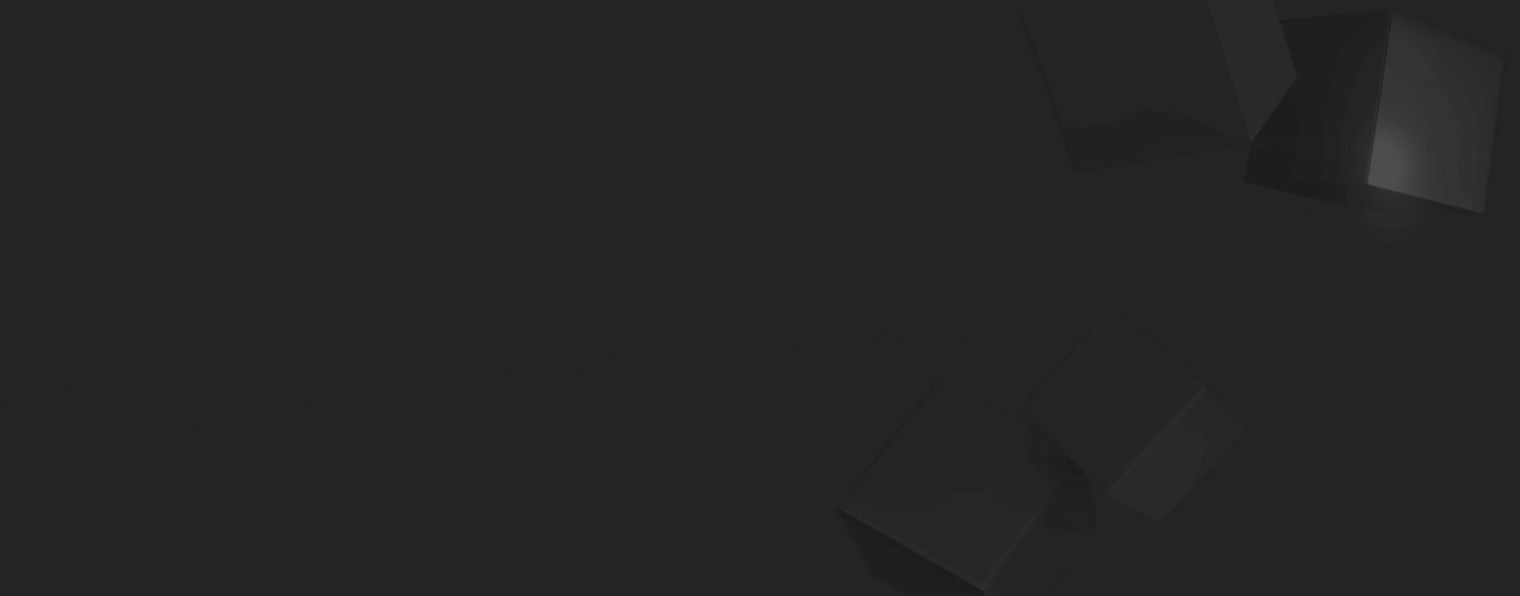 Светлана Павельчук|Авангард Бюро