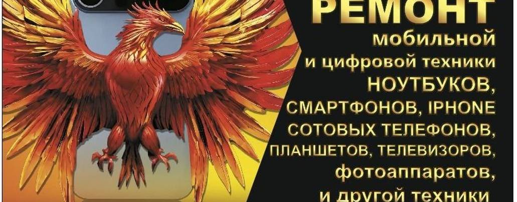 ФЕНИКС САЛЬСК ( GSM SERVICE )