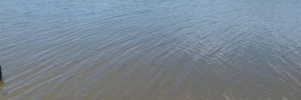 Игорь Невский