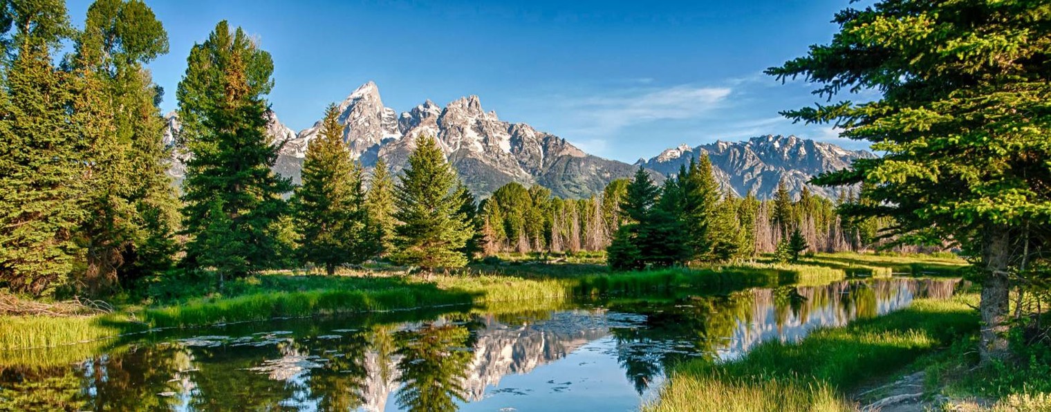 Звуки Тишины