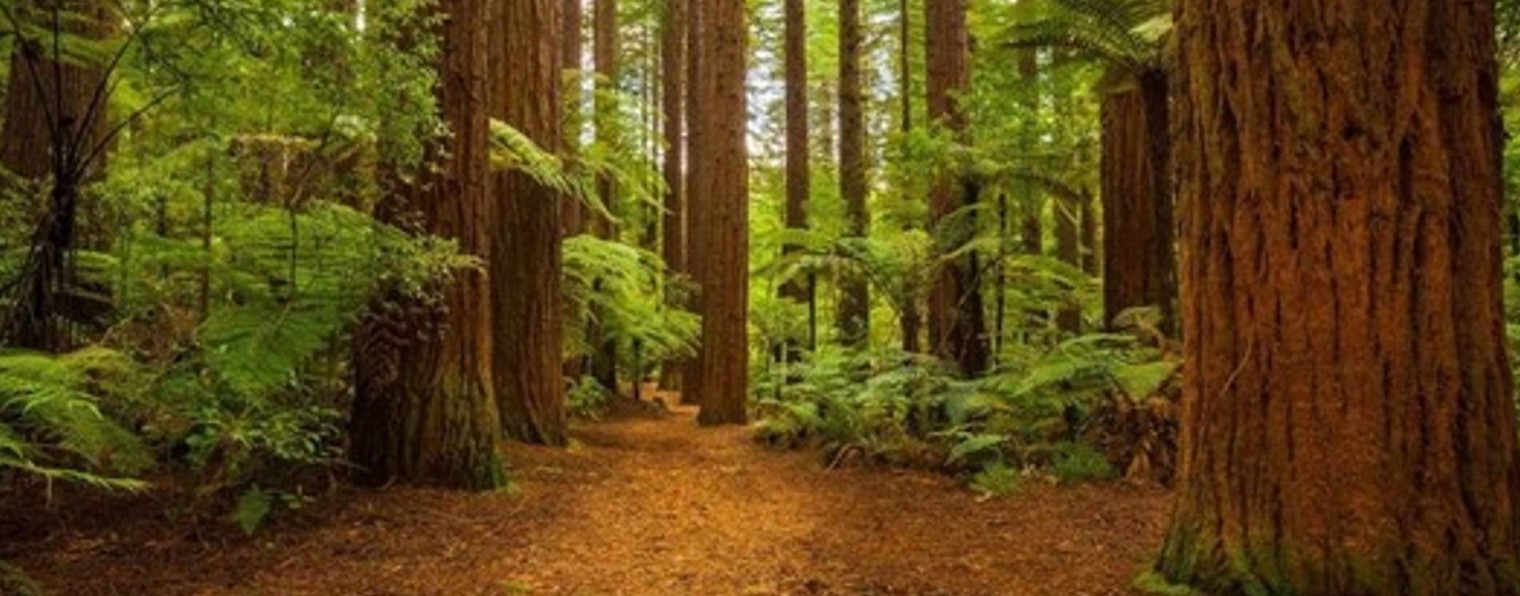 Вова со львова