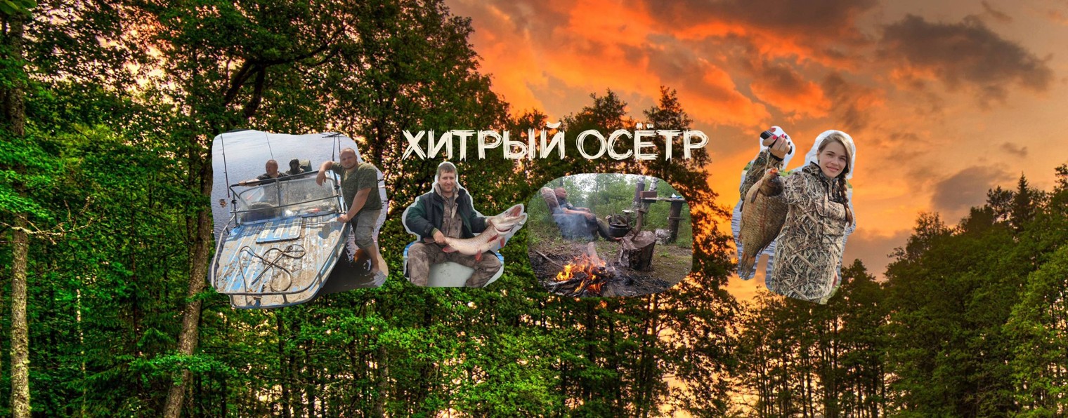 ХИТРЫЙ ОСЁТР