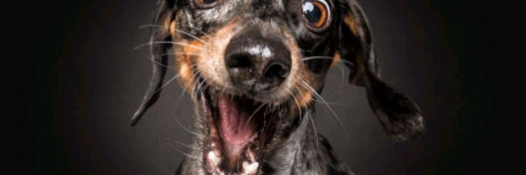 Скорость Настроения!!!