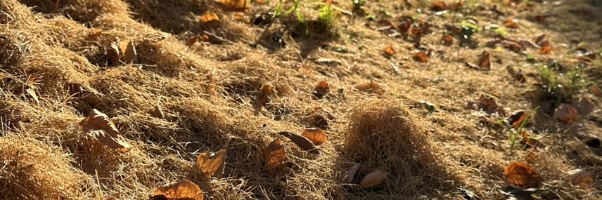 Моими глазами